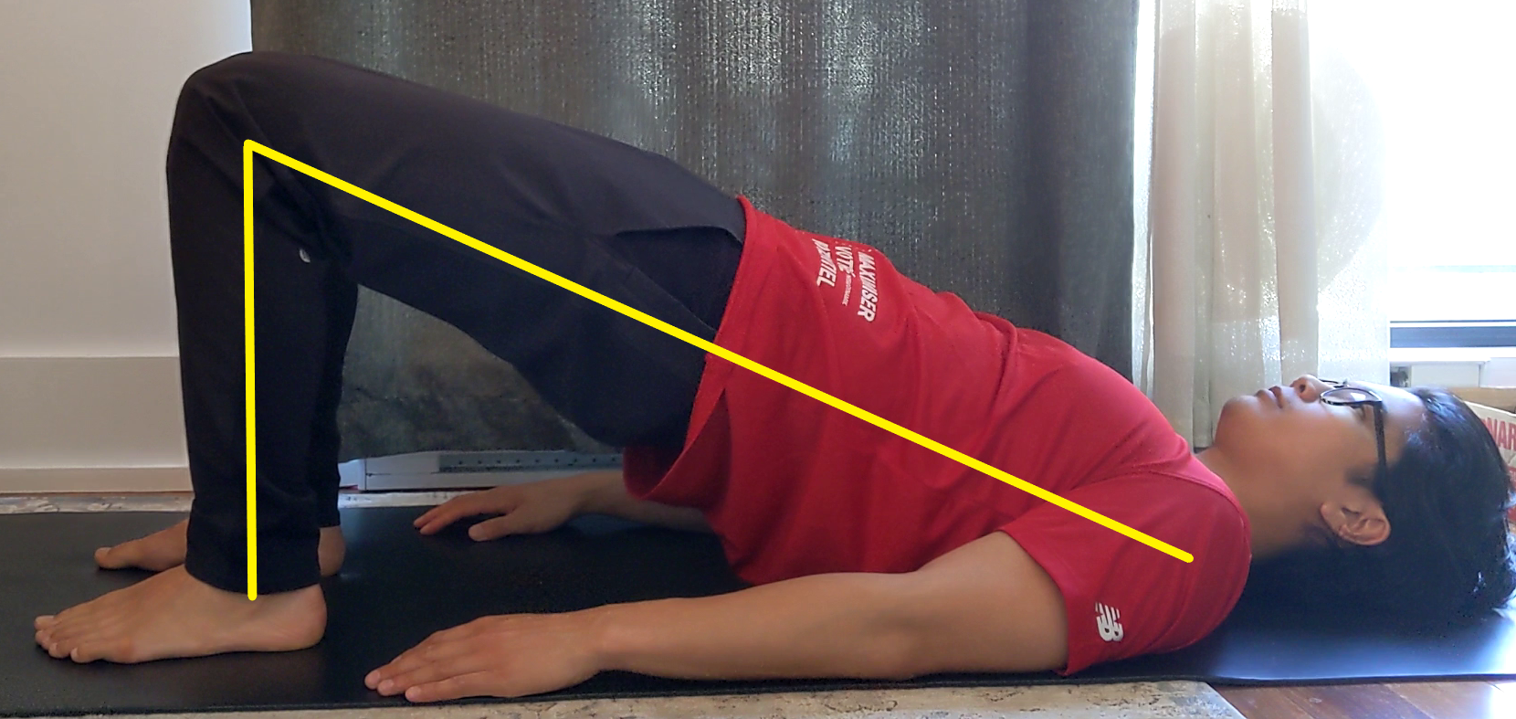 Pont - :: Physio Dynamik