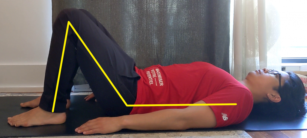 Le pont: Un super exercice - :: Physio Dynamik